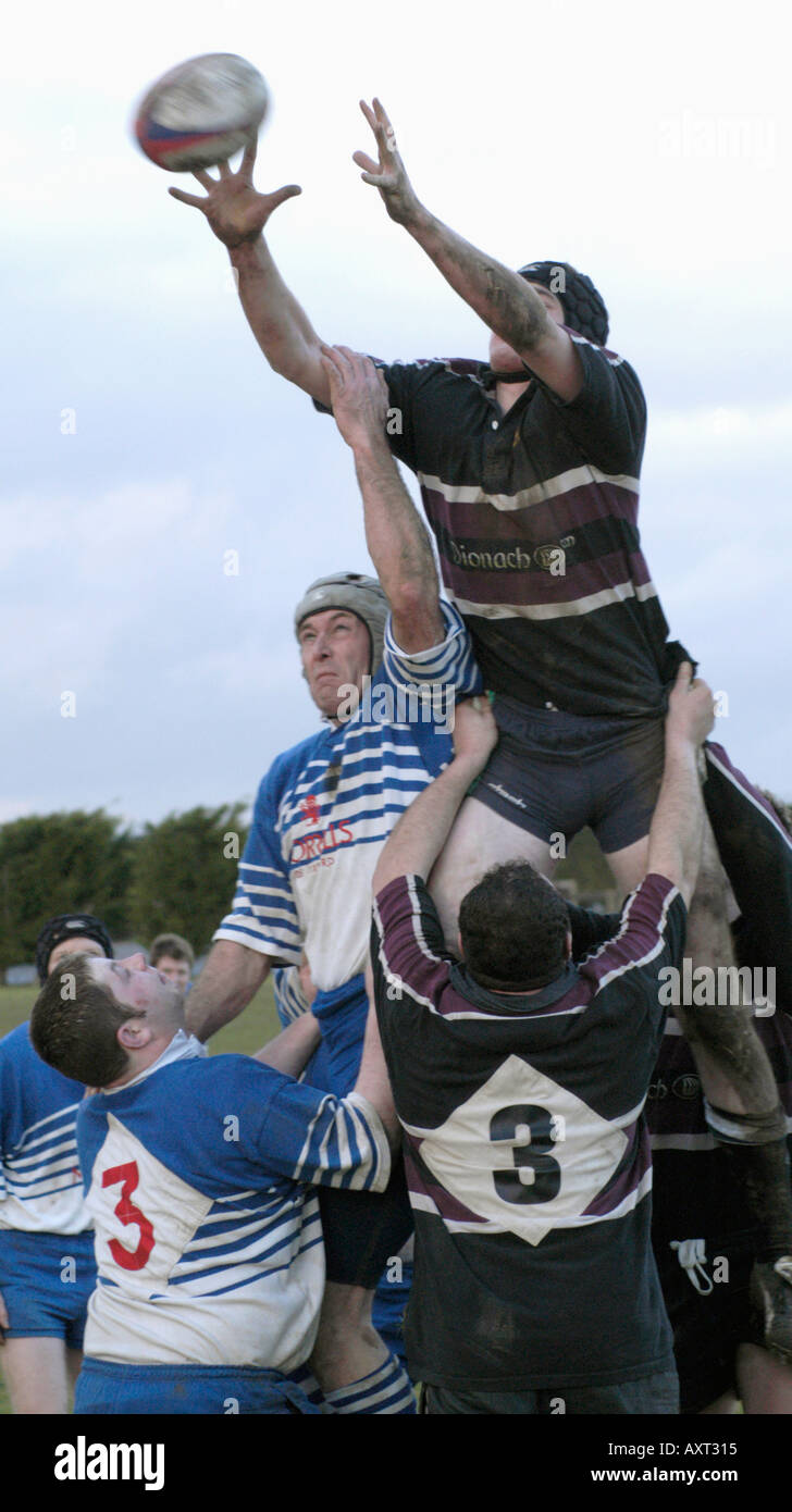 Rugby union throw in Stock Photo - Alamy