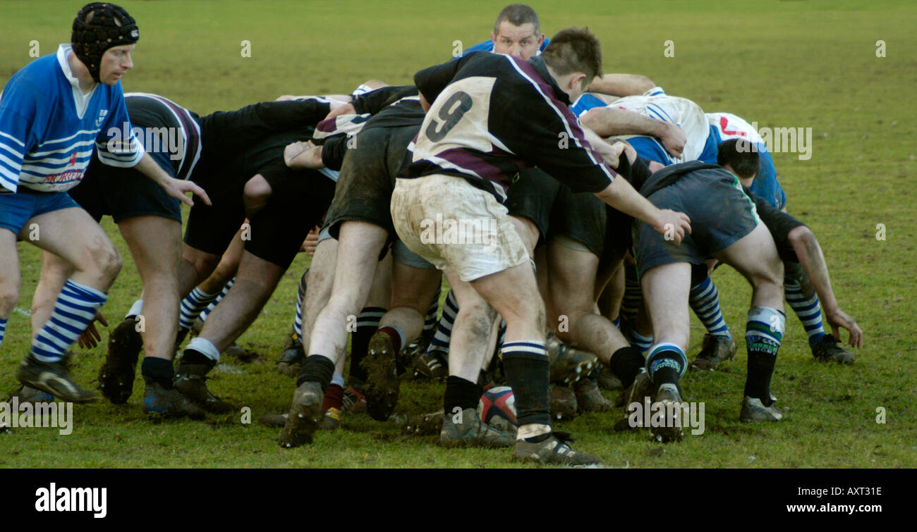 Rugby union scrum down Stock Photo - Alamy