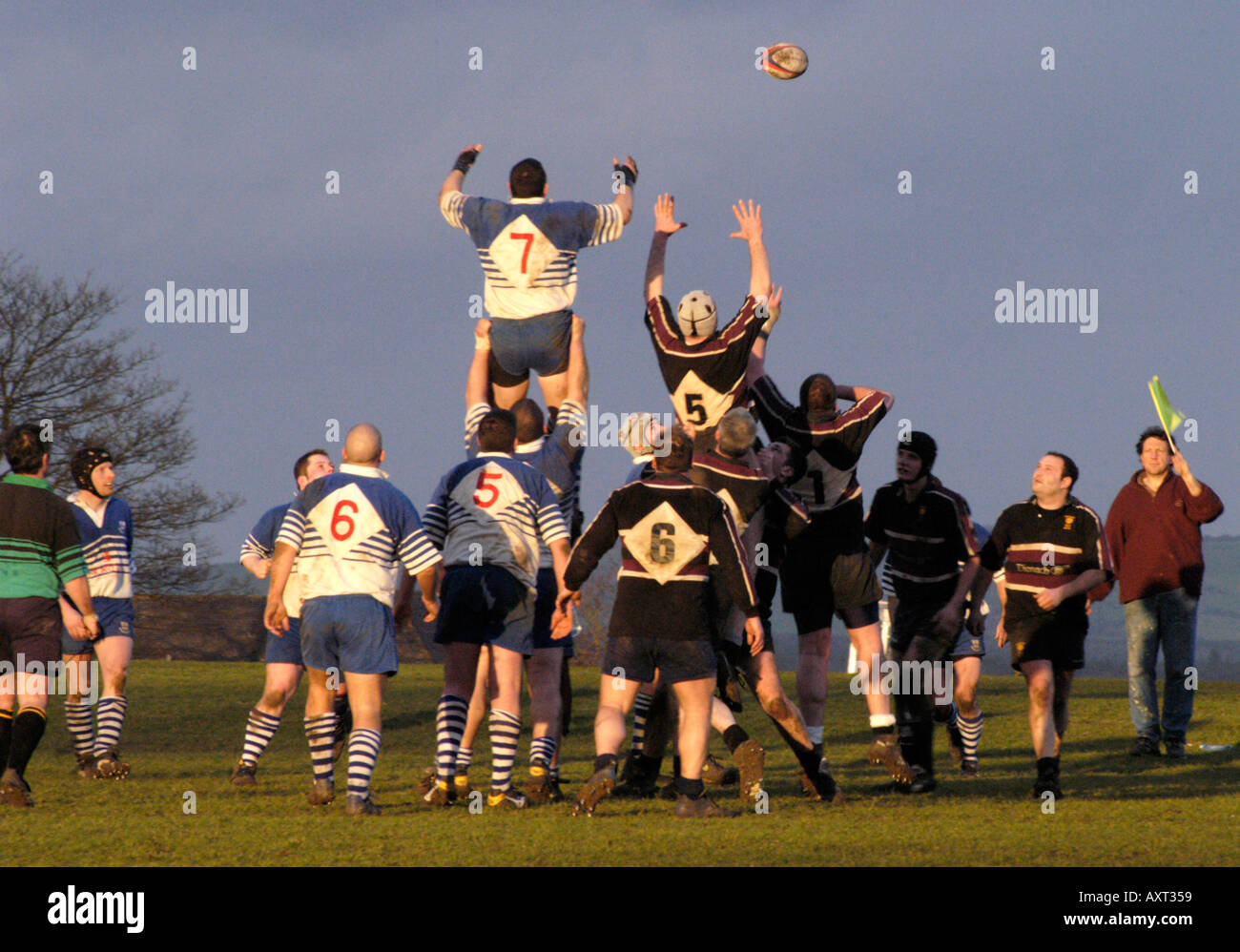English amateur rugby union hi-res stock photography and images - Alamy