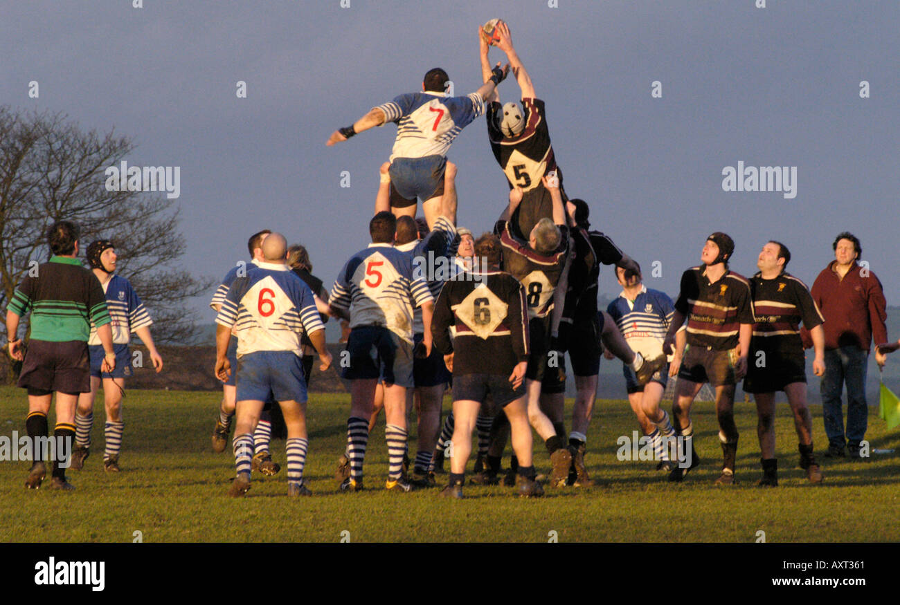 English amateur rugby union hi-res stock photography and images - Alamy