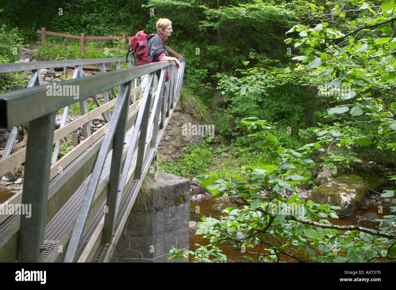 A walker looking at the River Twiss on the Ingleton Waterfalls Walk ...