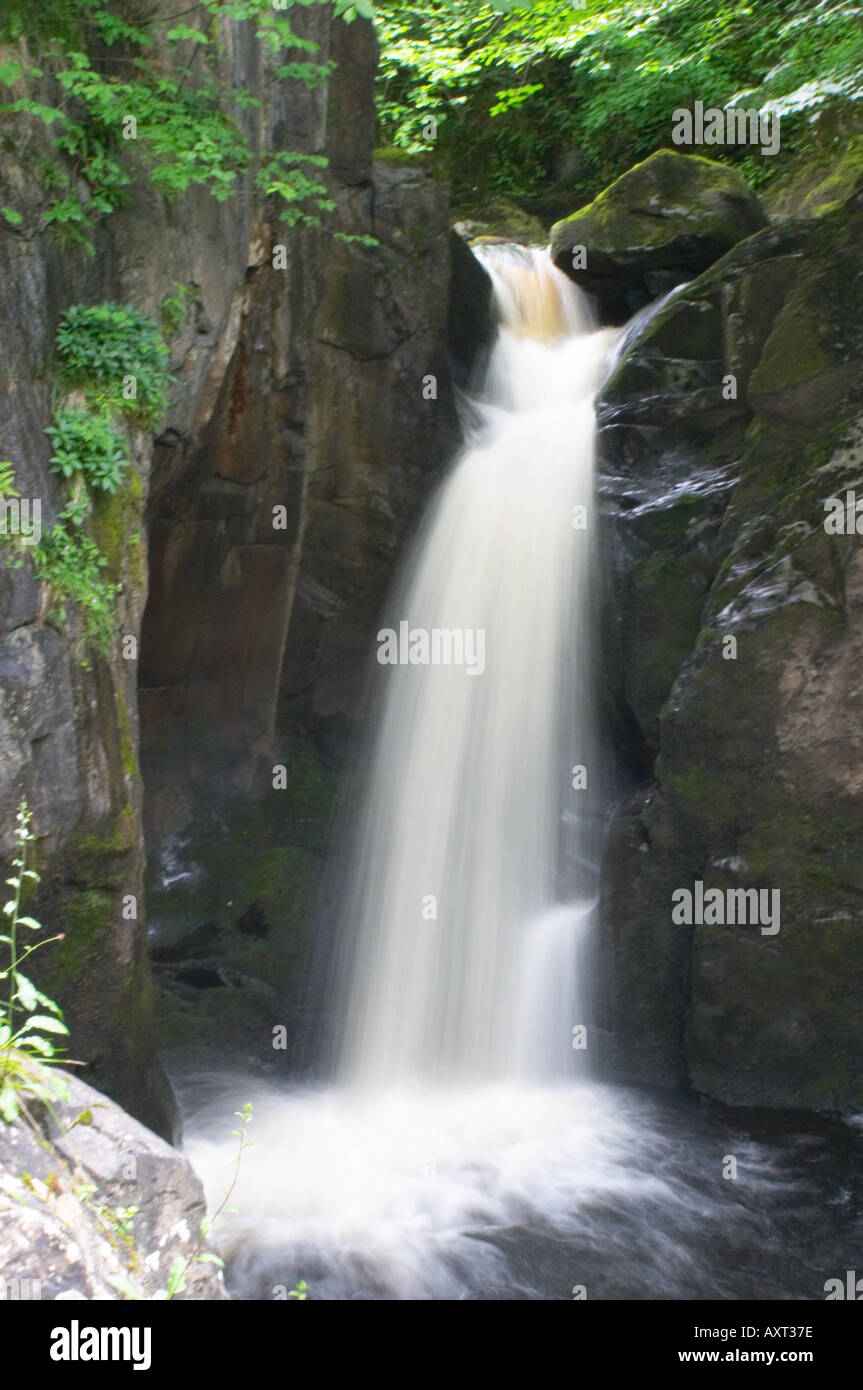 Holly Bush Spout on the River Twiss Ingleton Waterfalls Walk Yorkshire ...