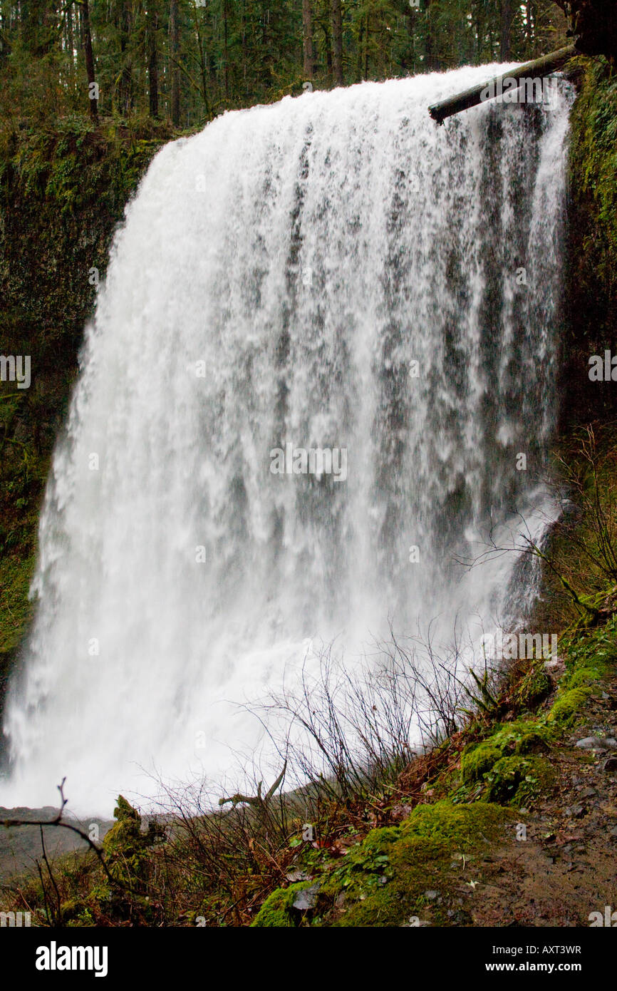 Middle North Falls Silver Falls State Park Oregon USA Stock Photo - Alamy