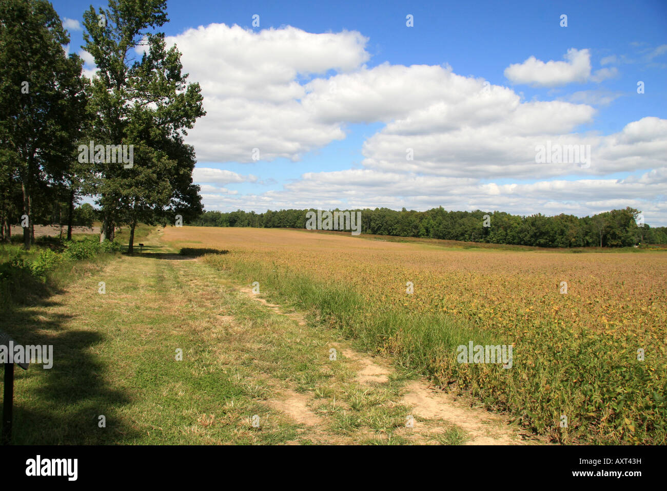 Malvern hill battlefield hi-res stock photography and images - Alamy
