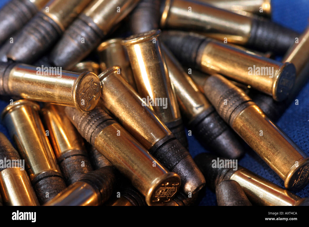 22 Shells in a group having fallen from their box Stock Photo - Alamy