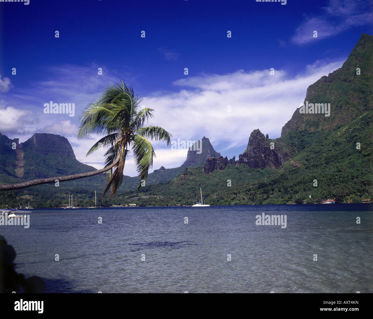 Cooks bay moorea tahiti hi-res stock photography and images - Alamy
