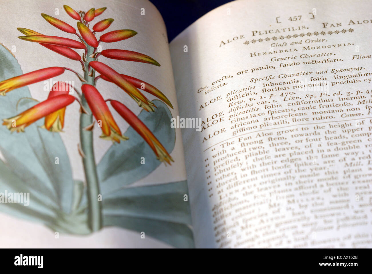 Parchment bound book hi-res stock photography and images - Alamy