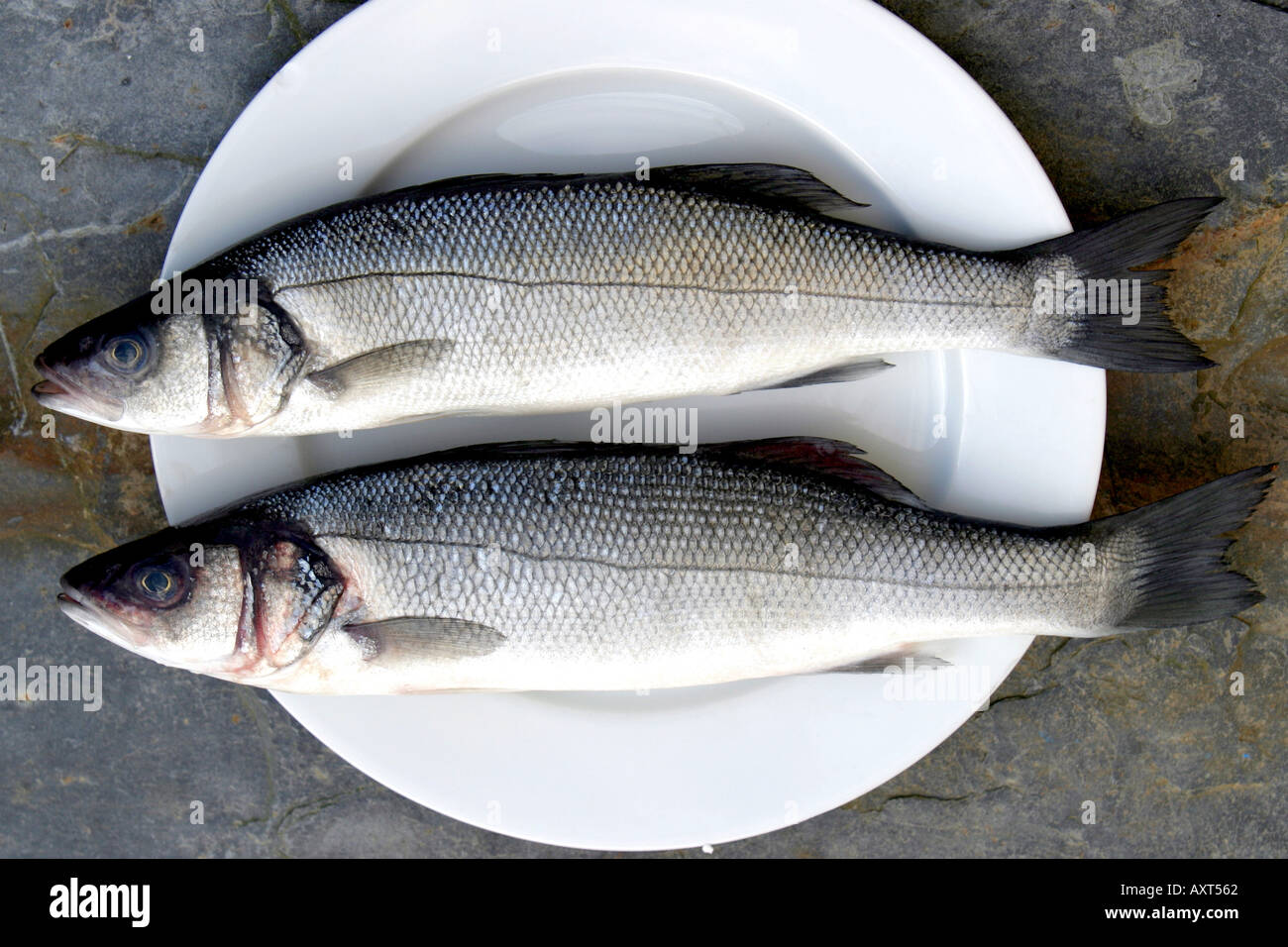 Sea bass caught angler hi-res stock photography and images - Alamy