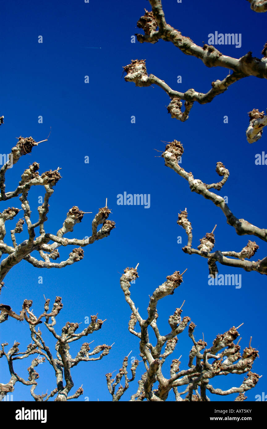 Extrange hi-res stock photography and images - Alamy