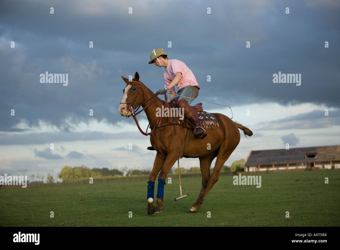 Polo player hit ball hi-res stock photography and images - Alamy