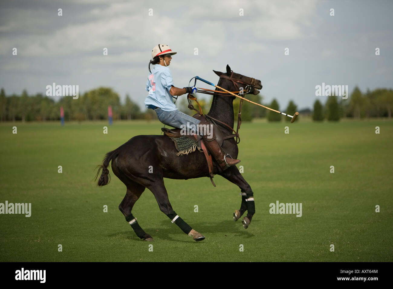Sport polo player argentina hi-res stock photography and images - Alamy