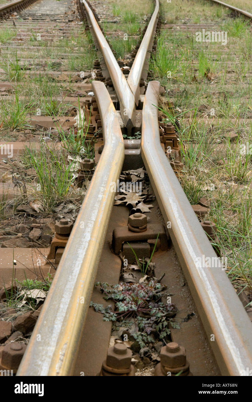 Wagon track hi-res stock photography and images - Alamy
