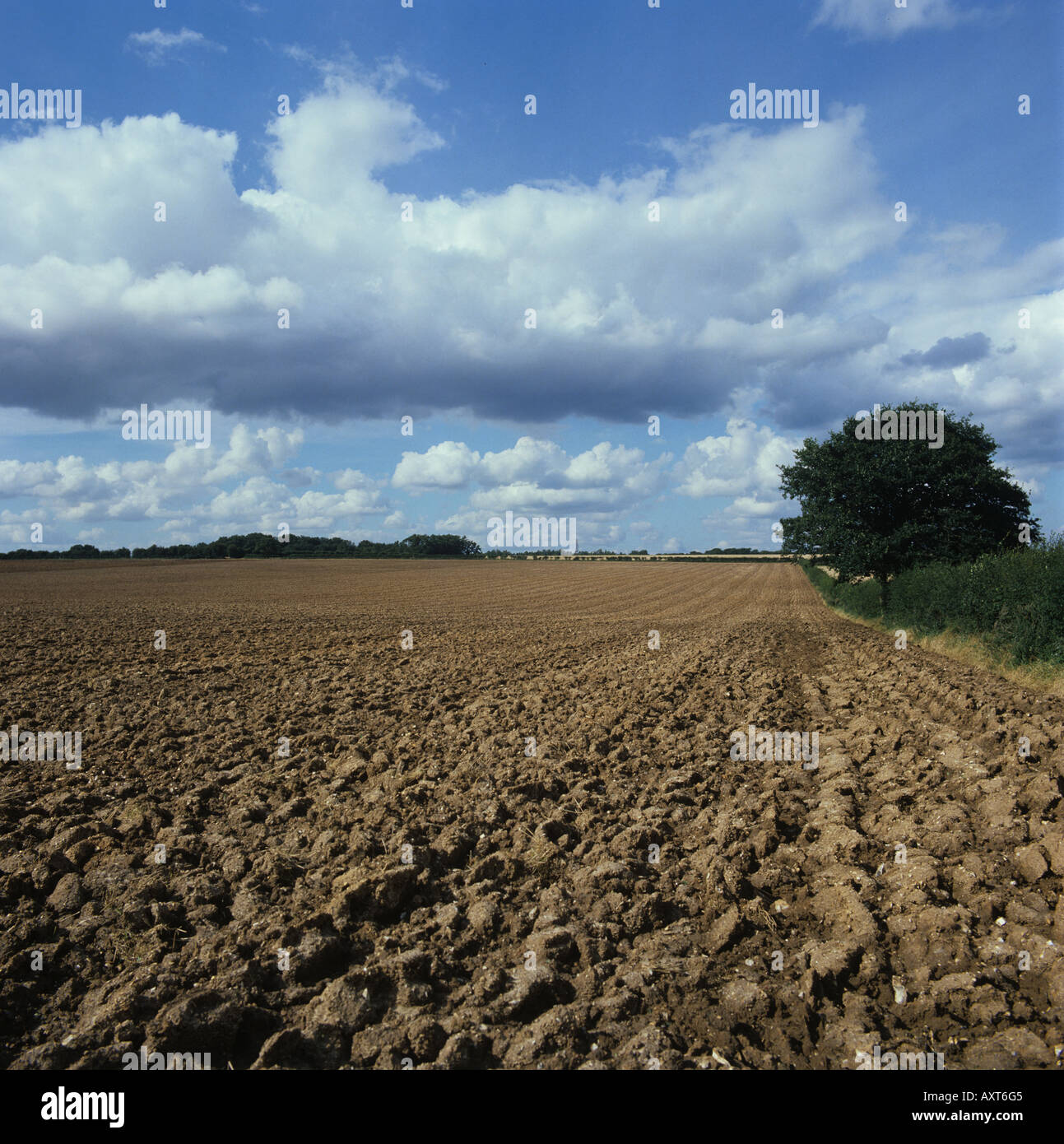 Field level hi-res stock photography and images - Alamy
