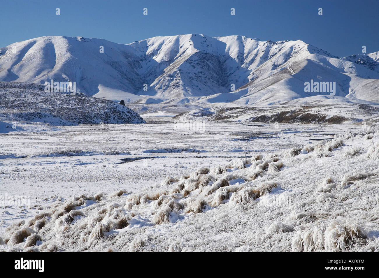 Maniototo hi-res stock photography and images - Alamy