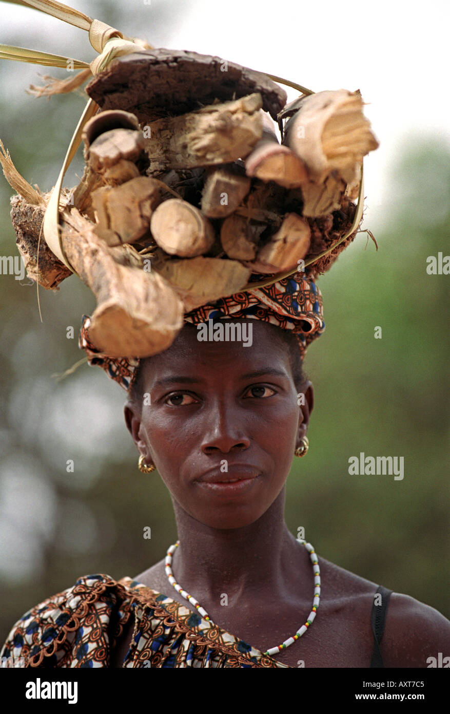 An African woman carrying wood on her head in The Gambia West Africa ...