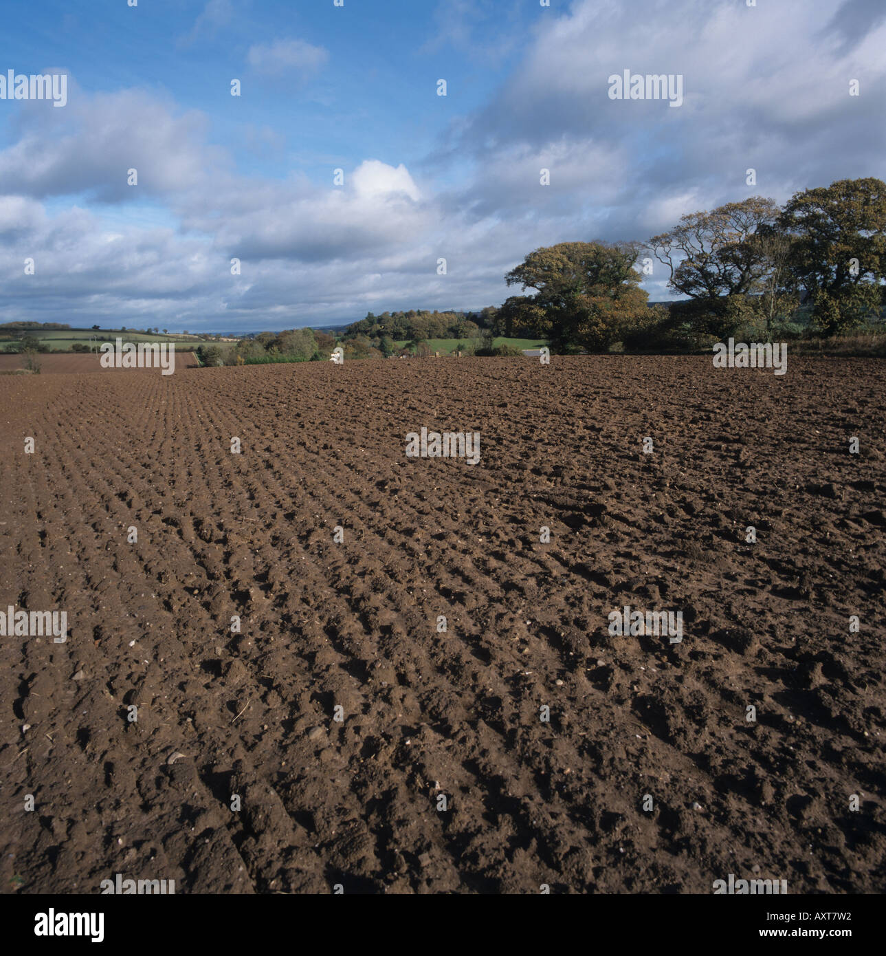 Ploughed field in devon uk hi-res stock photography and images - Alamy