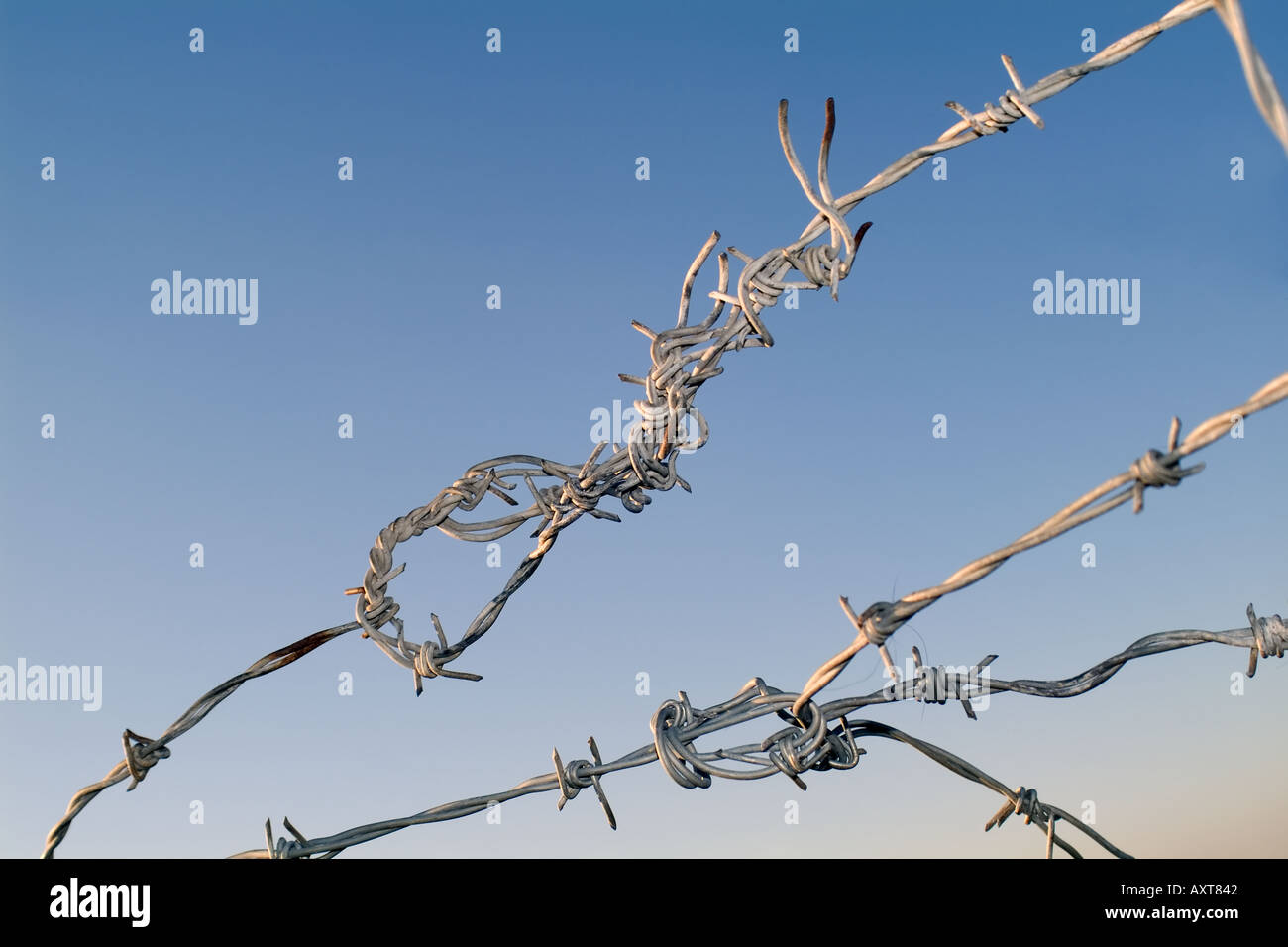 Barbed wire security fence MOD Stock Photo - Alamy