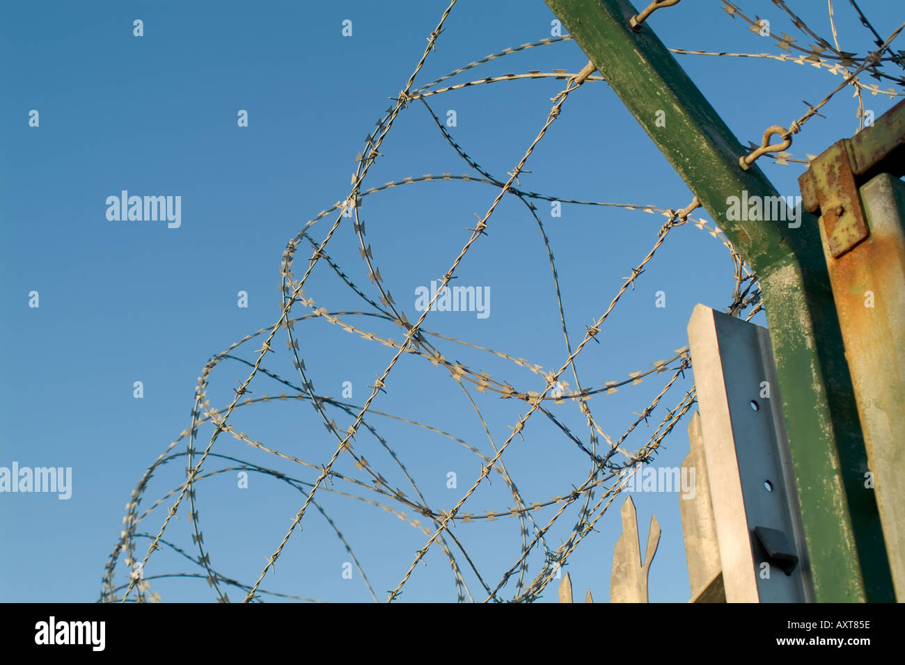 security fence with razor wire Stock Photo - Alamy