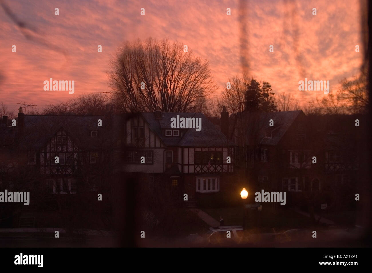 Silhouette tree branch through window hi-res stock photography and ...