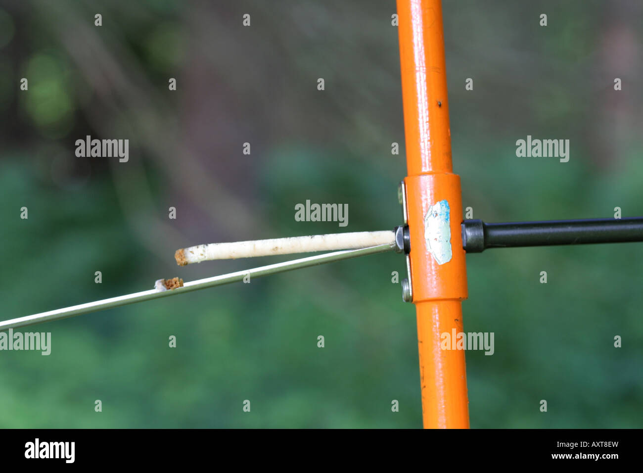 Increment borer hi-res stock photography and images - Alamy