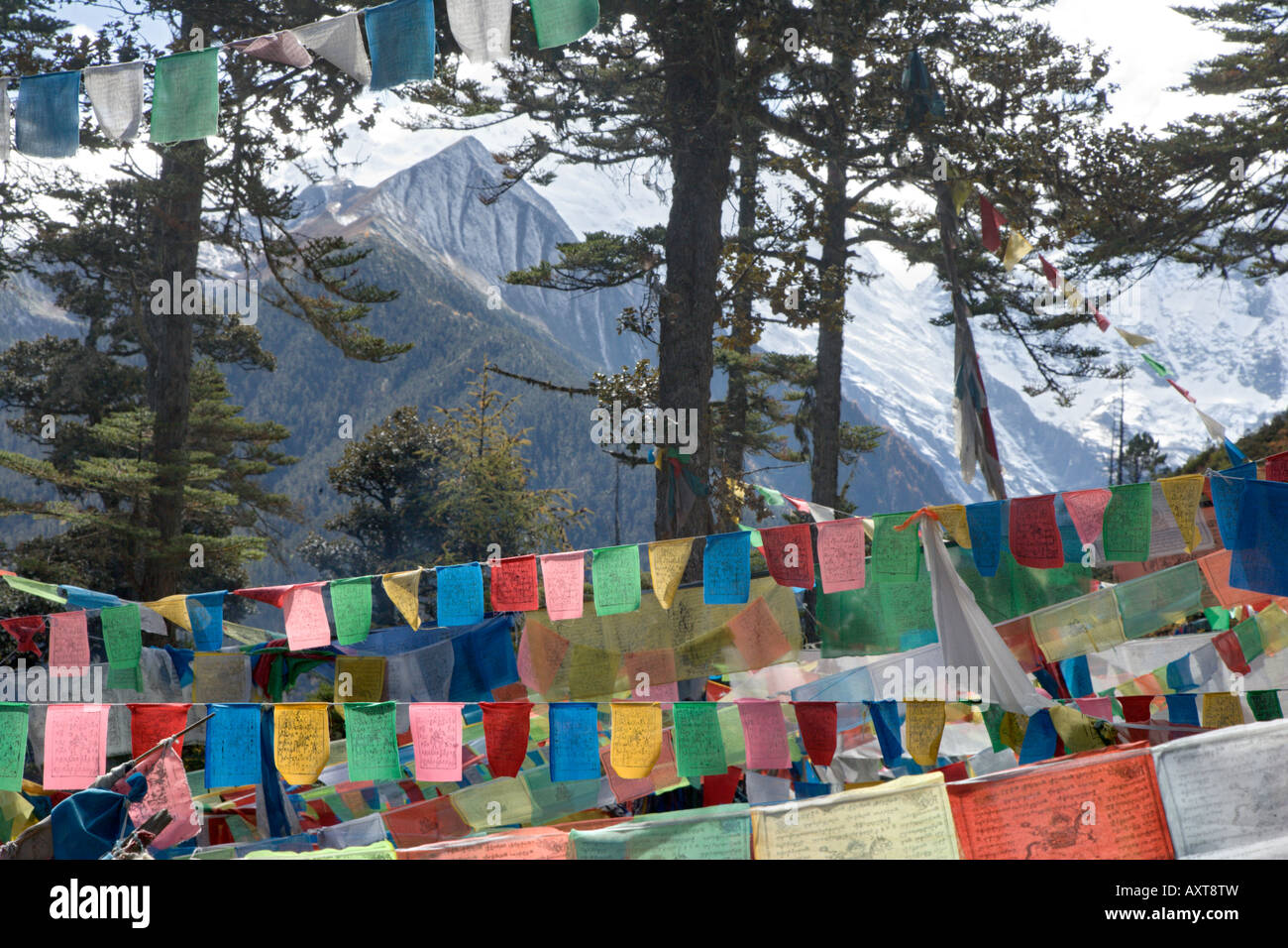 Prayer flags at mountain pass, Yubeng, Yunnan, China Stock Photo - Alamy