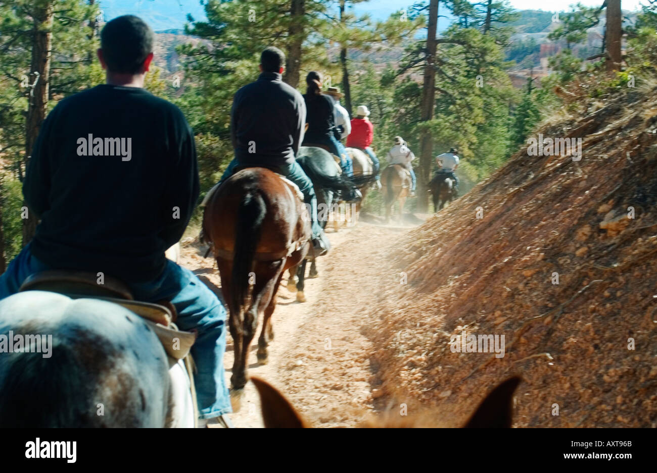 Two riders leading horses hi-res stock photography and images - Alamy