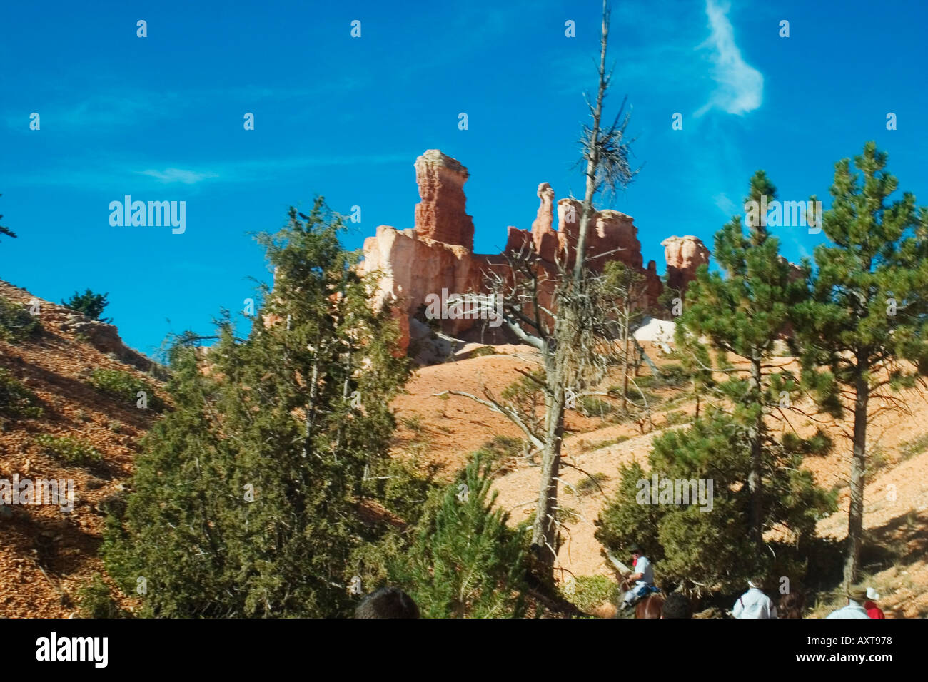 Bruce canyon national park hi-res stock photography and images - Alamy