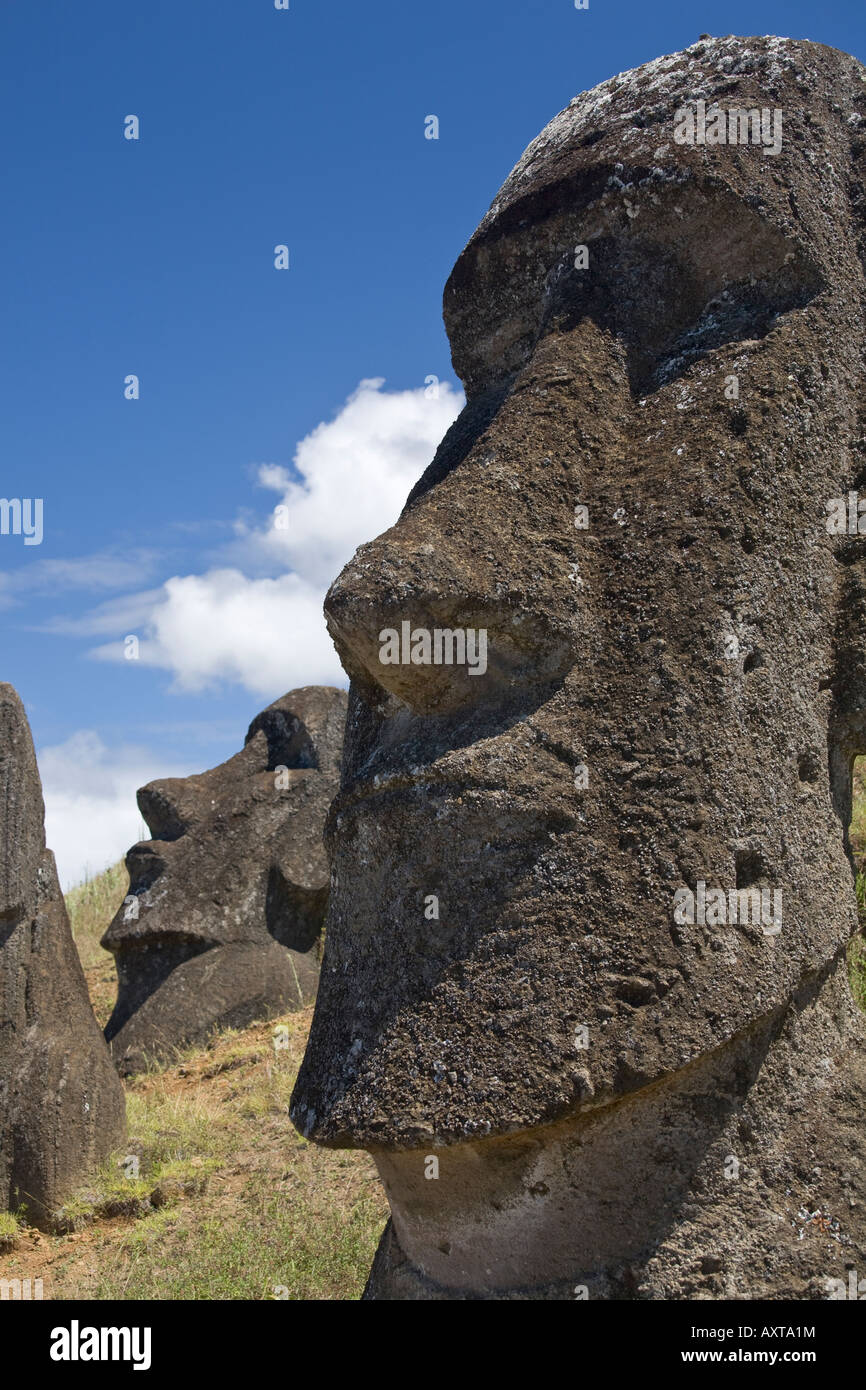 Moai in various stages of completion littered around the hillside of ...