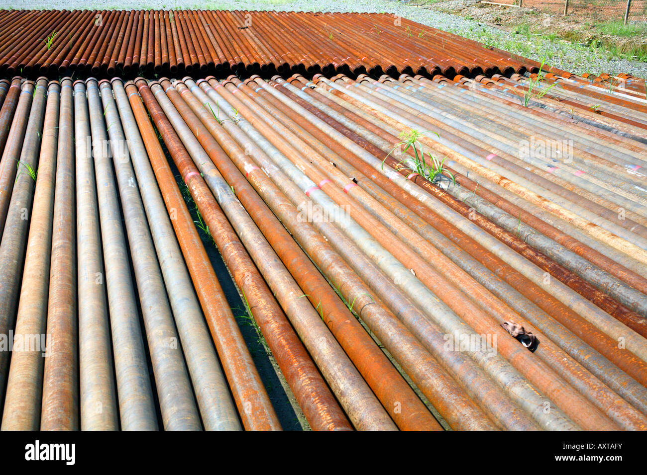 Amazon drilling hi-res stock photography and images - Alamy