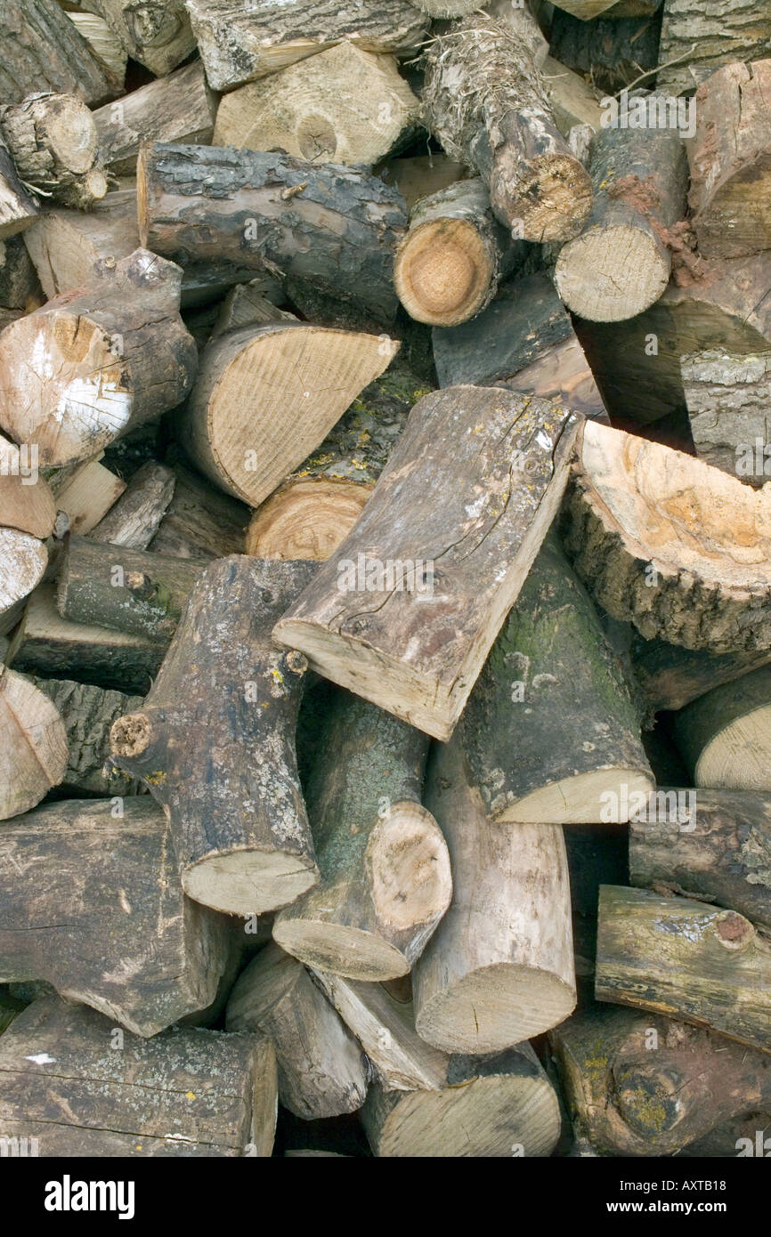 Log pile fire wood Stock Photo - Alamy
