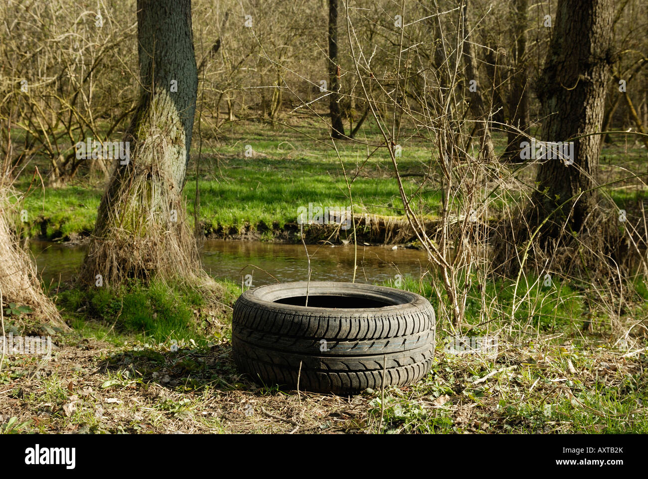 Waste in nature Stock Photo - Alamy