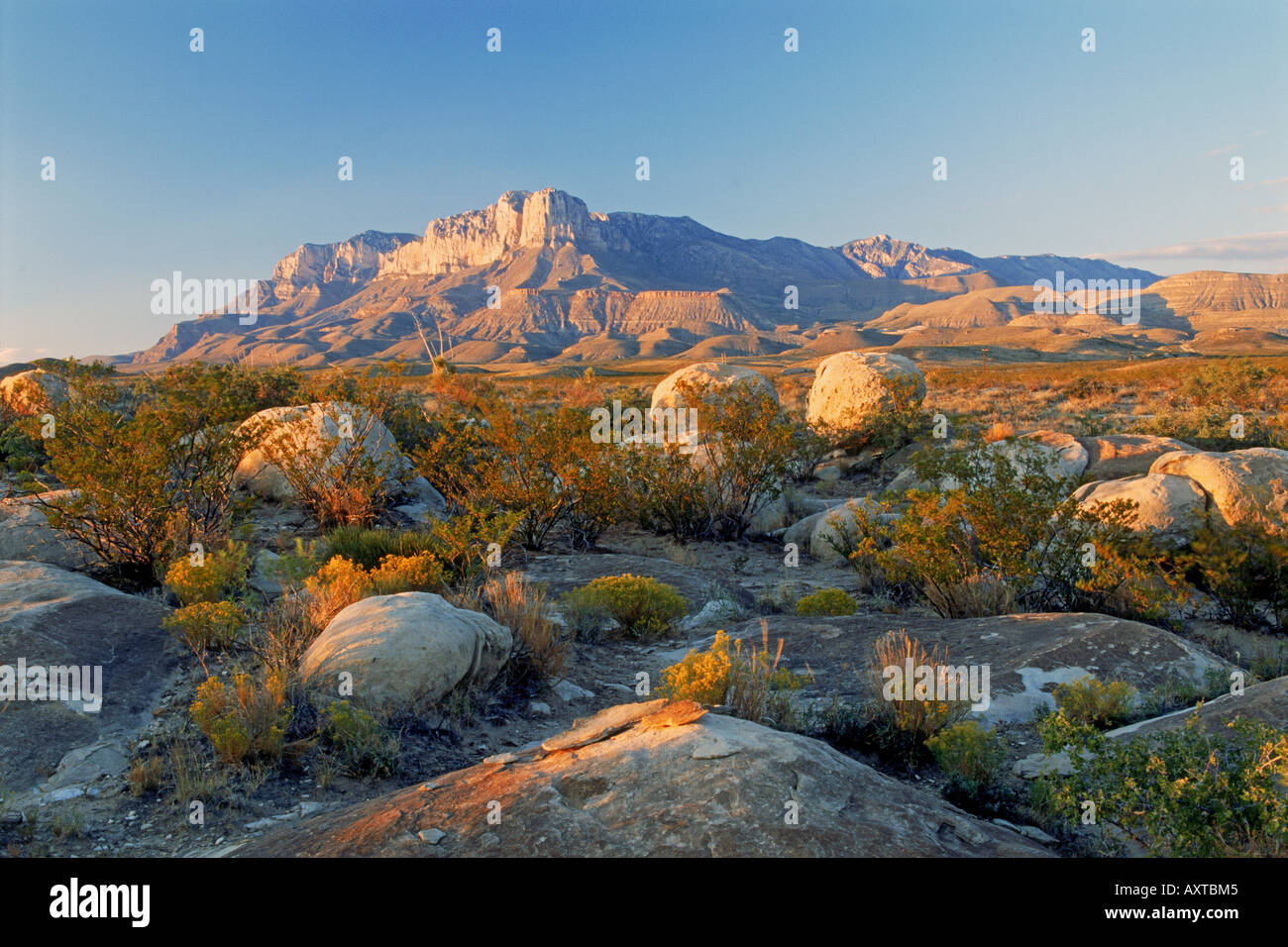 Guadalupe Mountains National Park in Texas USA Stock Photo - Alamy