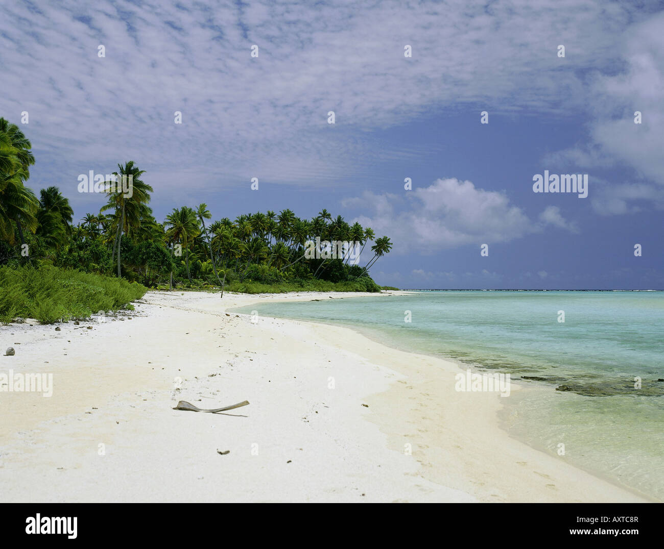 Maina new zealand hi-res stock photography and images - Alamy