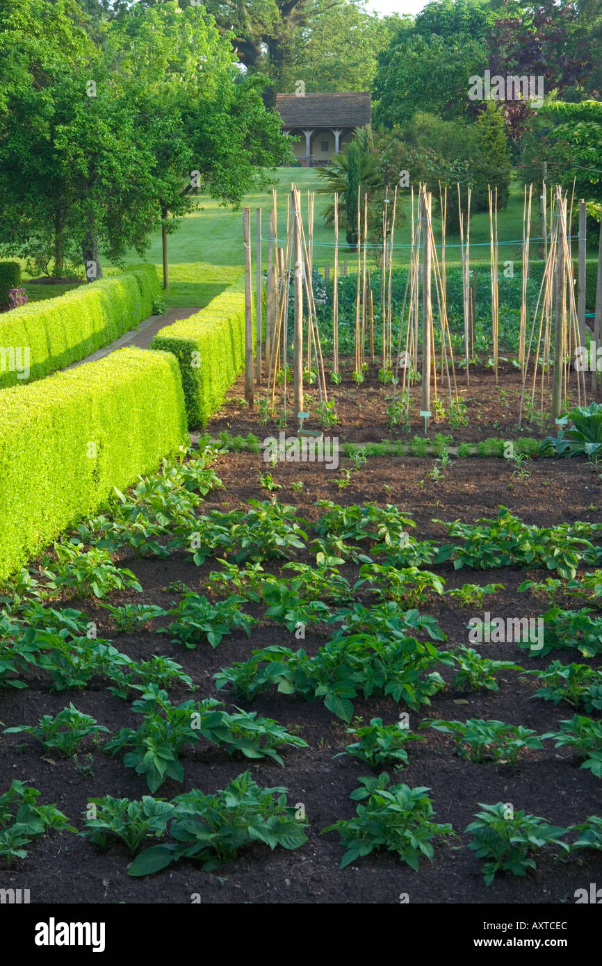 Bickham House Devon UK and formal parterre Stock Photo - Alamy