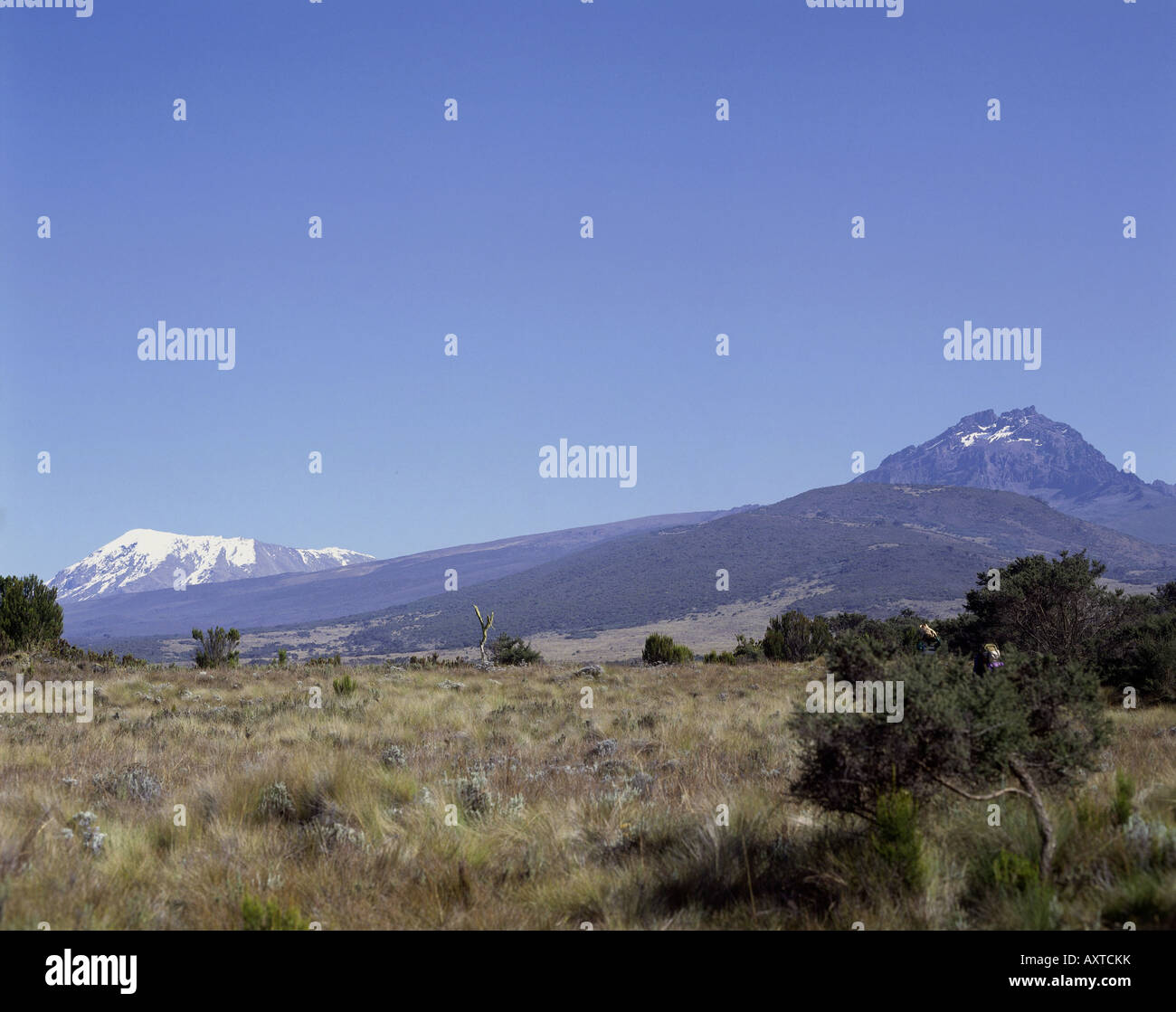 Kilimanjaro unesco world heritage hi-res stock photography and images ...