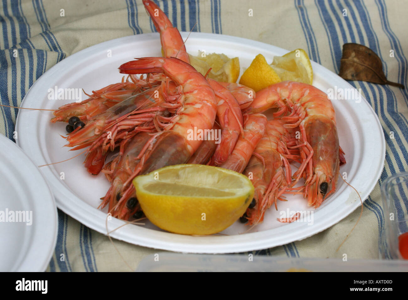 Prawns from Australia Stock Photo - Alamy