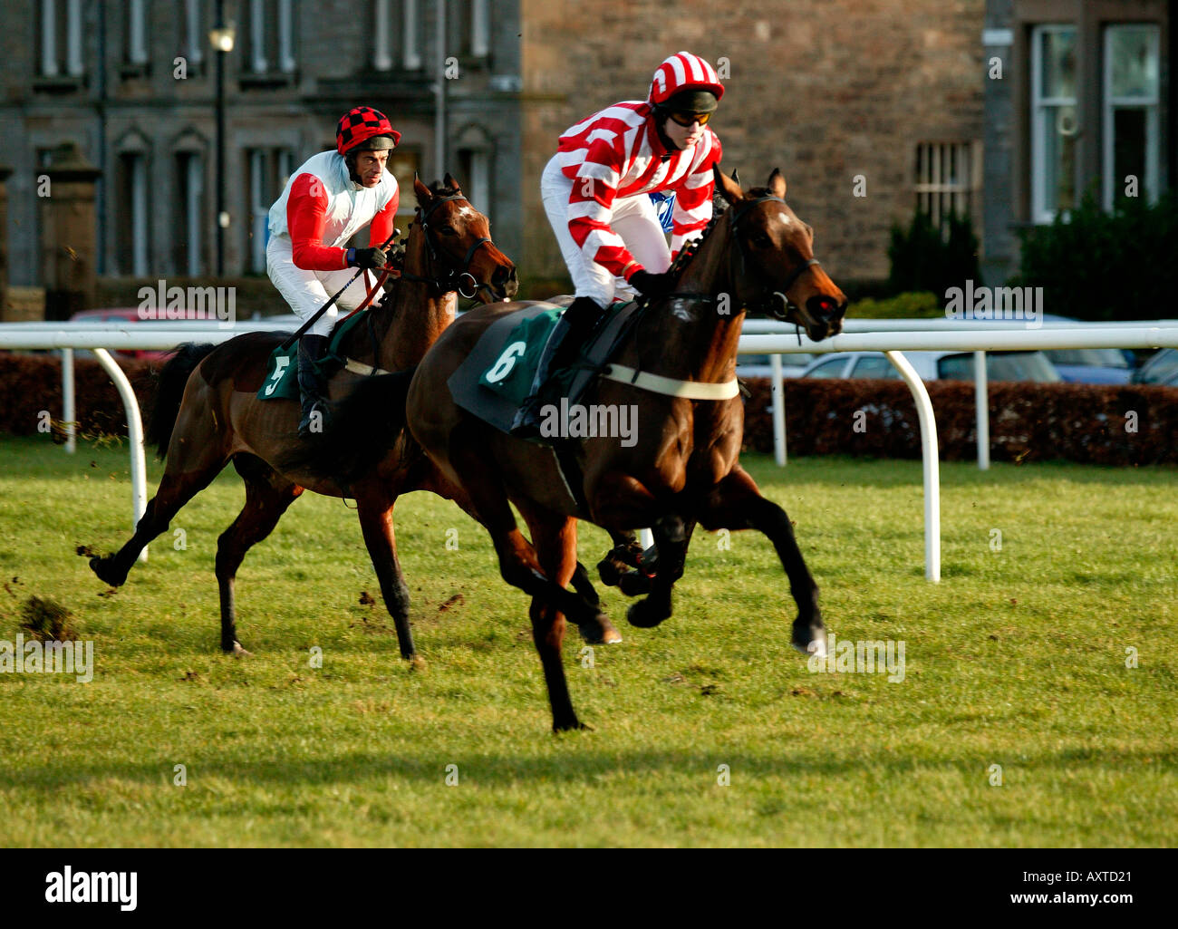 Musselburgh race course hi-res stock photography and images - Alamy