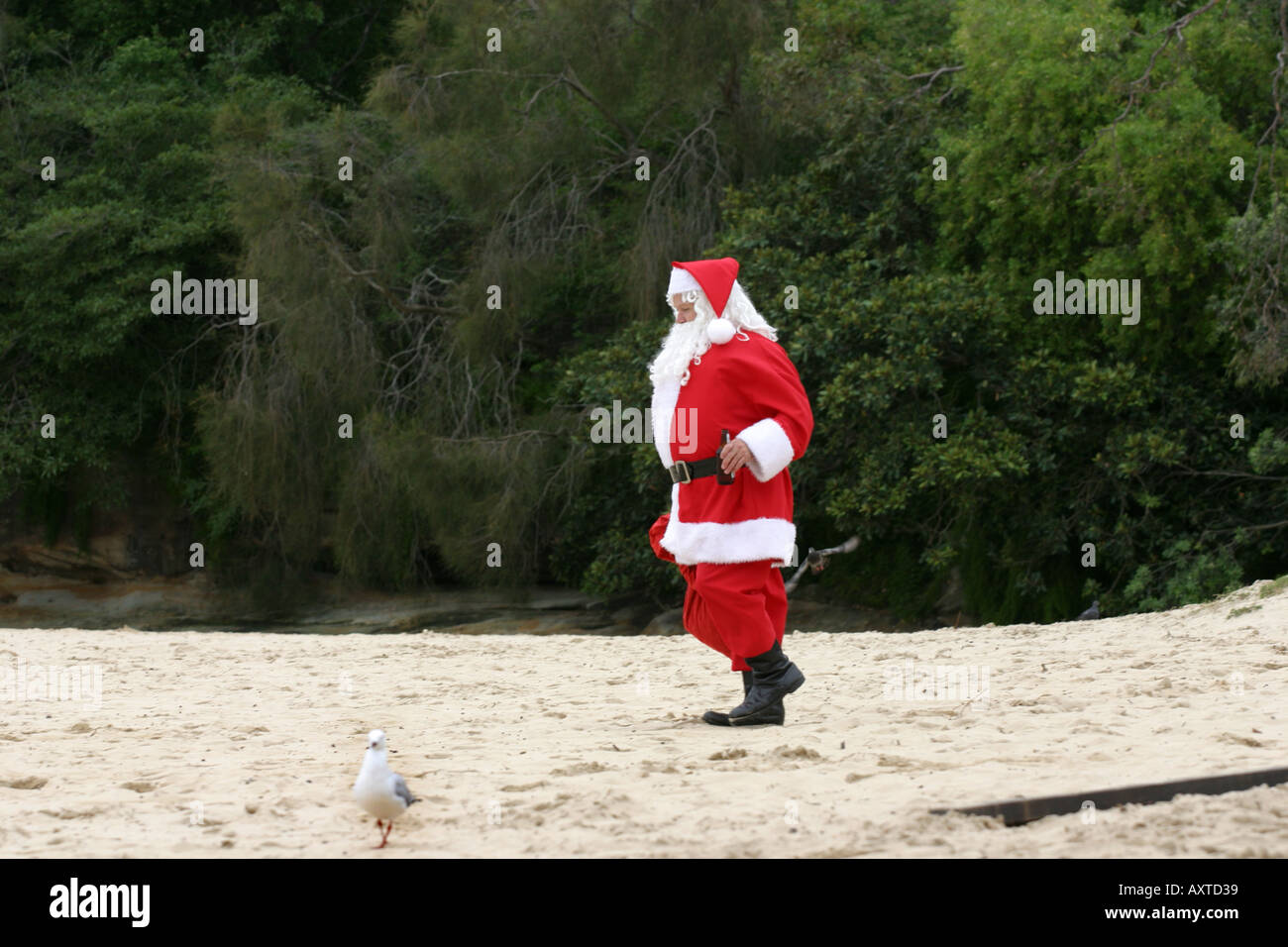 Australian Santa Clause High Resolution Stock Photography and Images ...