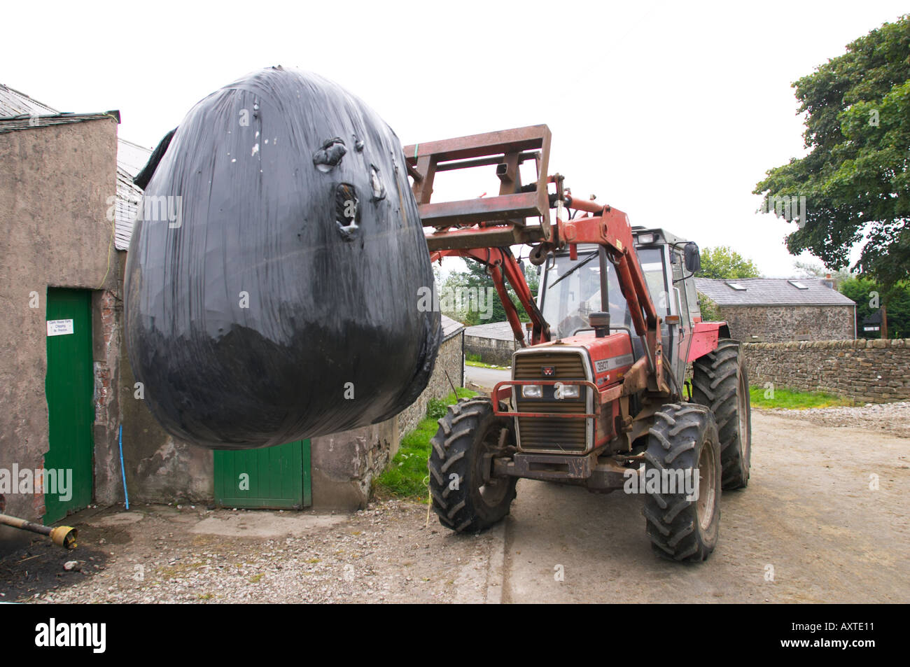 silage bales wrapped in plastic Stock Photo - Alamy