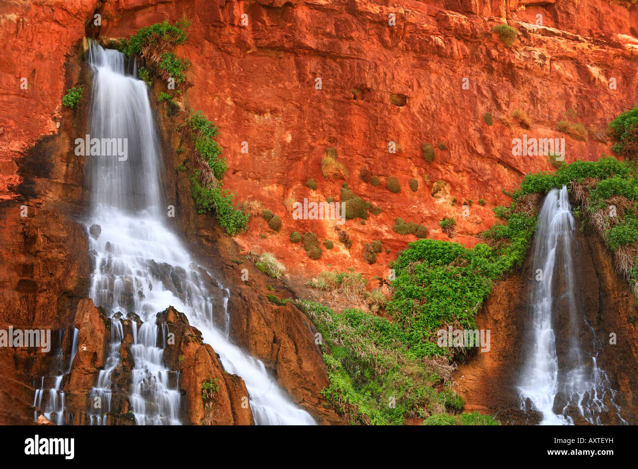 Vasey's Paradise Waterfall Stock Photo - Alamy