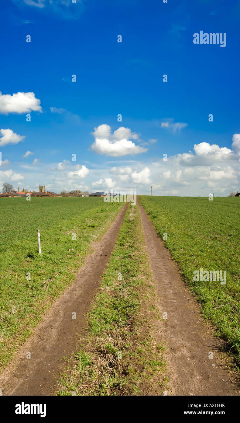 A footpath across a green field Stock Photo - Alamy