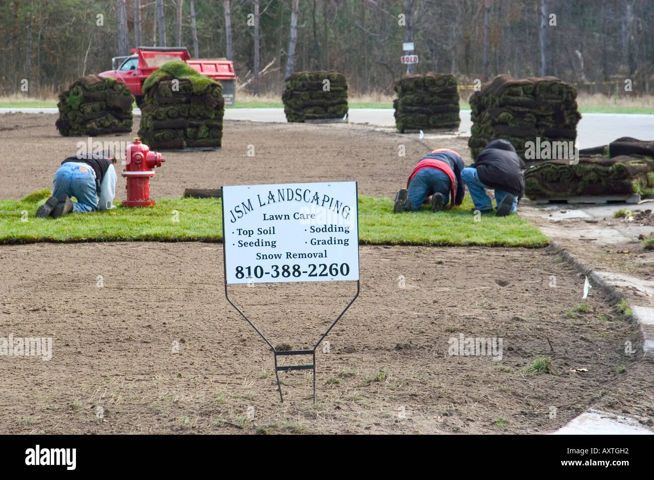 Workers lay new lawn with sod in a new residential home construction ...