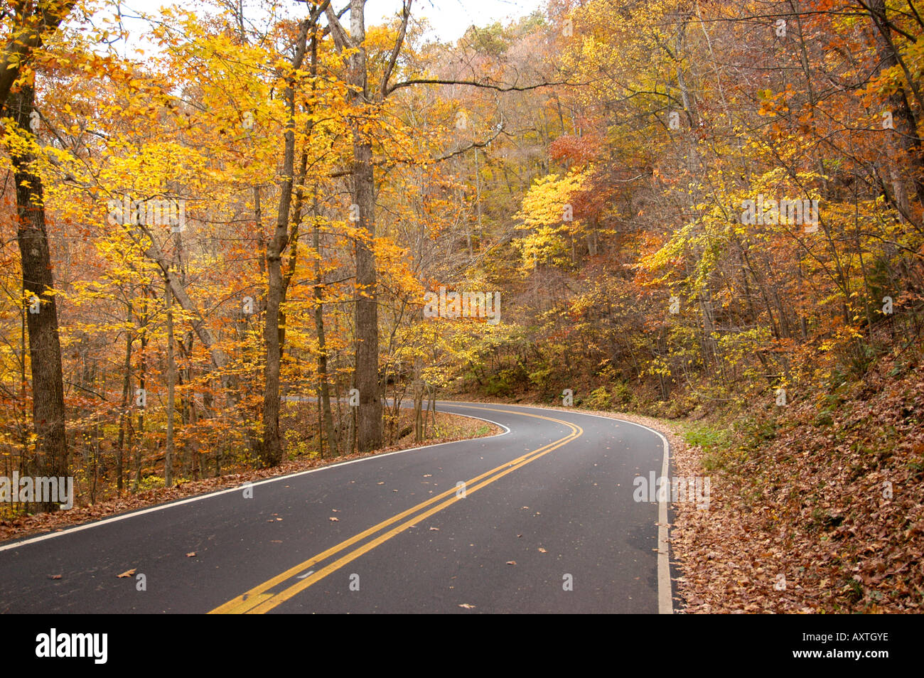 Clear fork gorge hi-res stock photography and images - Alamy