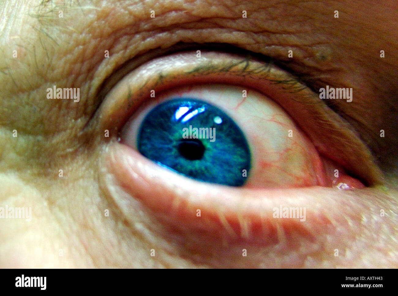 Human eye ball hi-res stock photography and images - Alamy