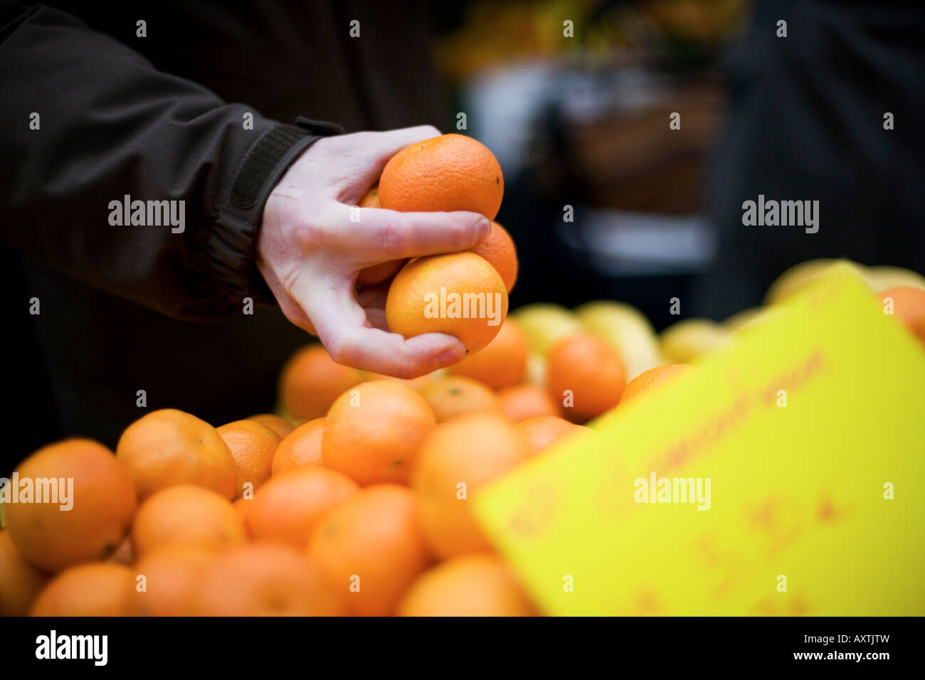 clementines and oranges Stock Photo - Alamy