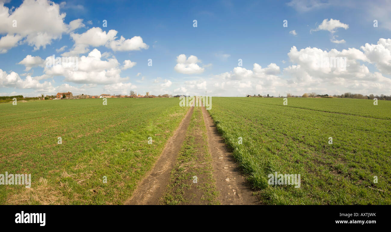 A footpath through a green field Stock Photo - Alamy