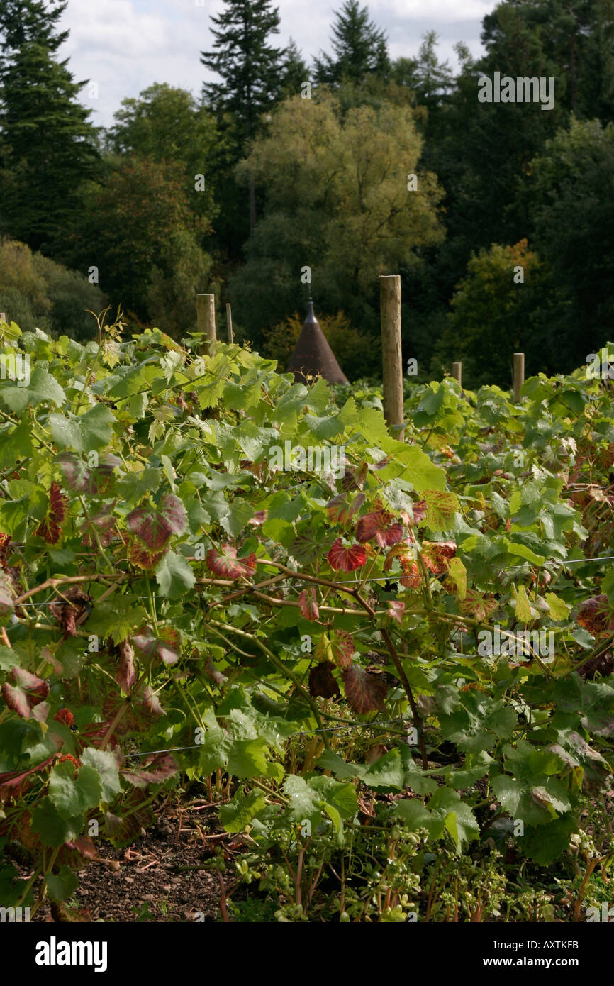 Knightshayes walled garden hi-res stock photography and images - Alamy