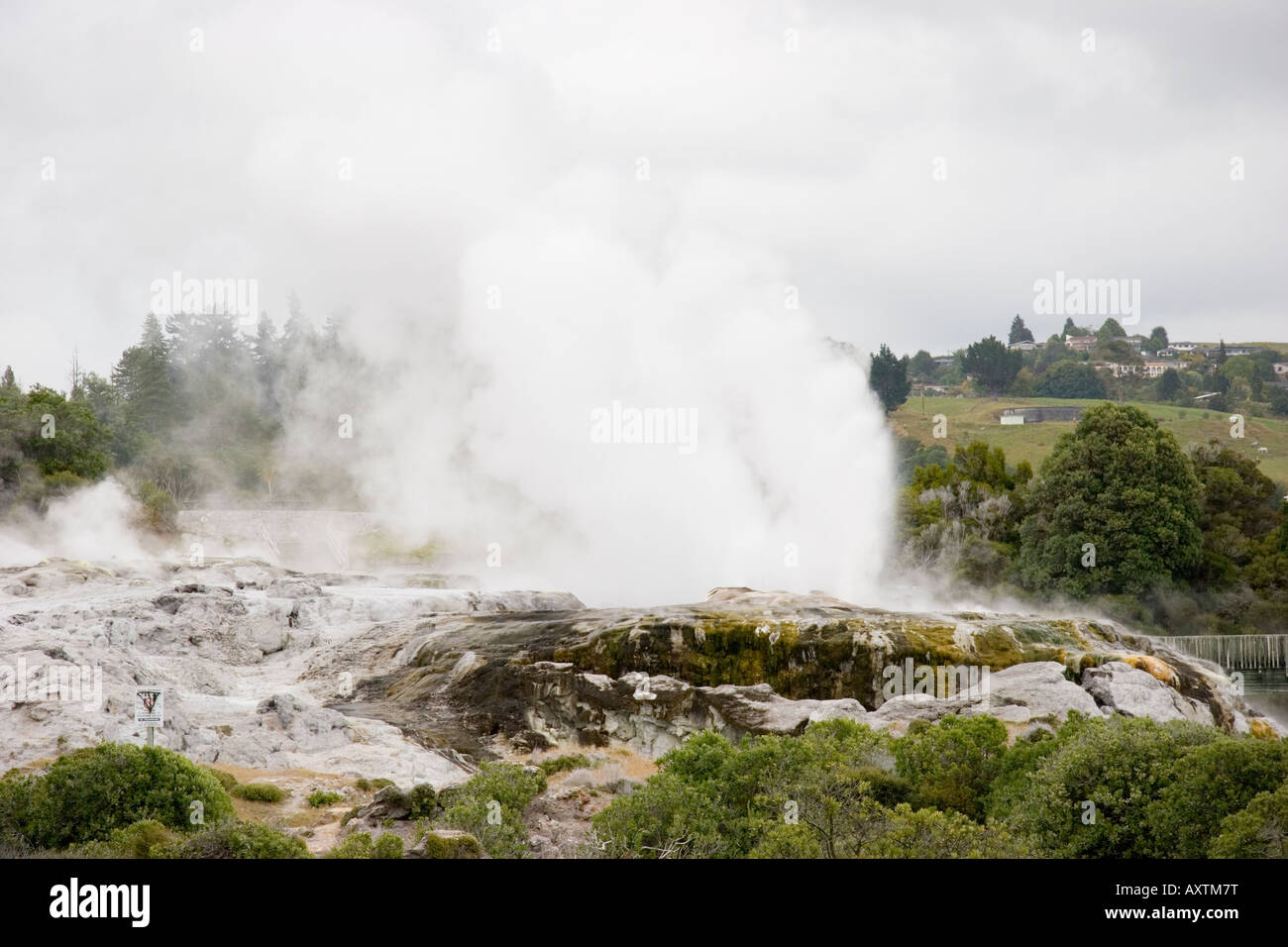 Geyser New Zealand Stock Photo - Alamy