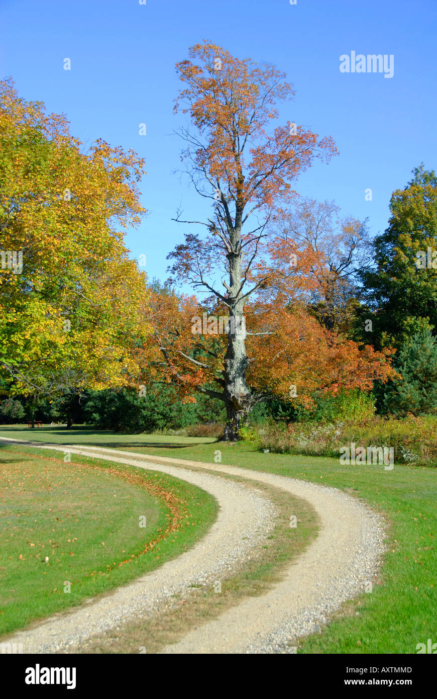 Autumn Fall colors in the countryside surrounding Springfield Illinois ...