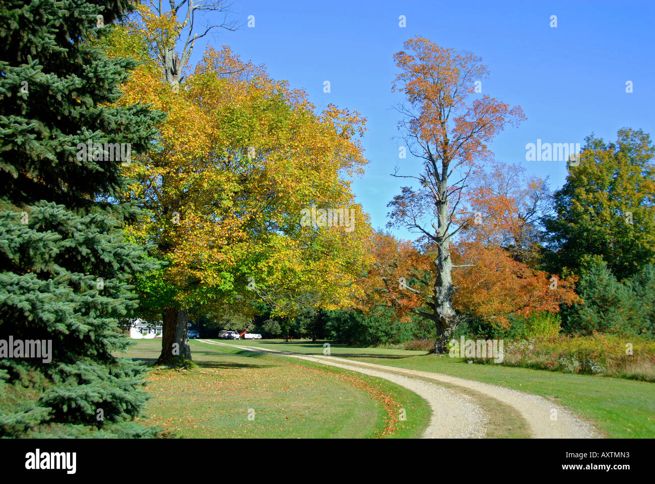 Autumn Fall colors in the countryside surrounding Springfield Illinois ...